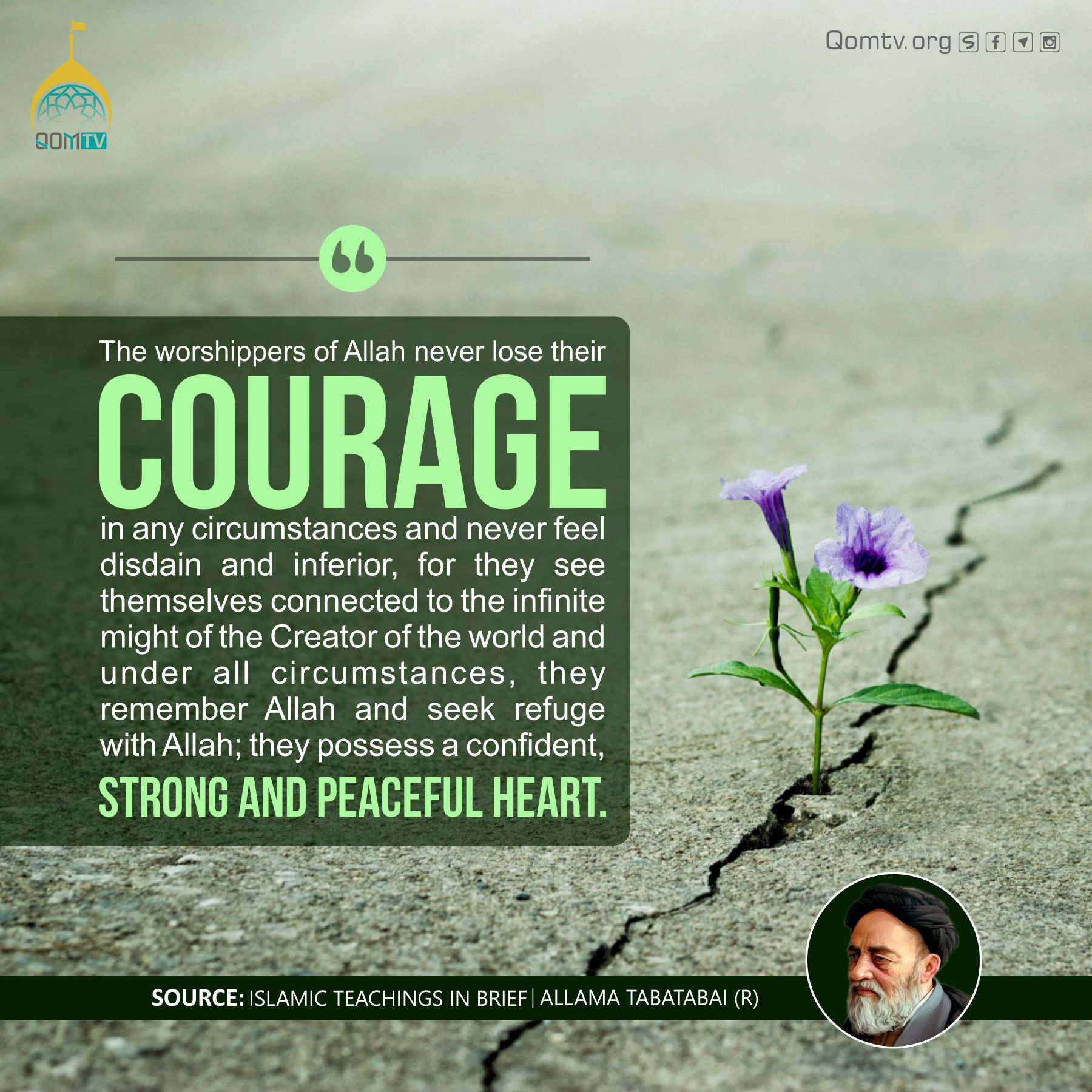 The worshippers of Allah.... - QomTV